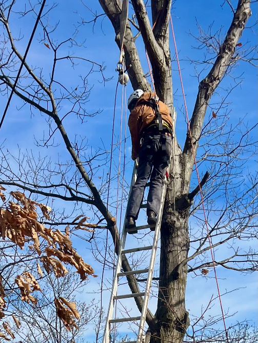 This spar tree is ready, now onto the next one